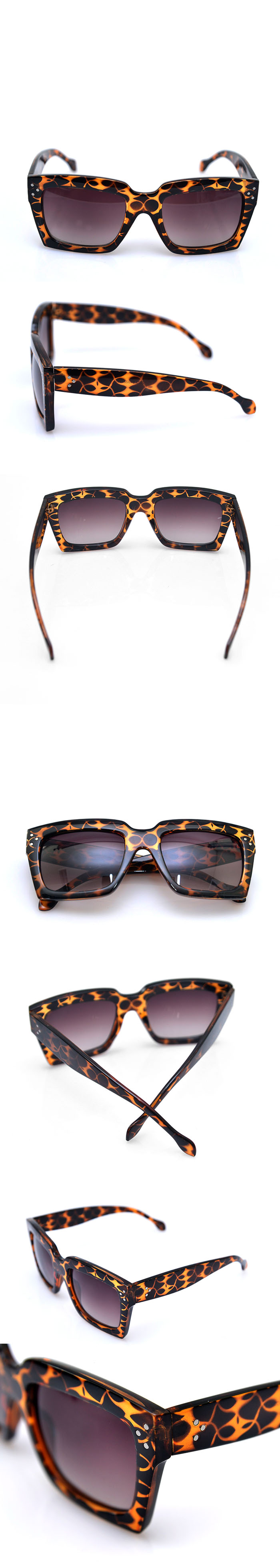 Accessories :: Sunglasses & Glasses :: Silver Mini Studs Funky Acetate ...